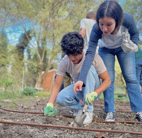 Ecohuerta (Universidad Camilo José Cela, Spain) - Talloires Network of Engaged Universities